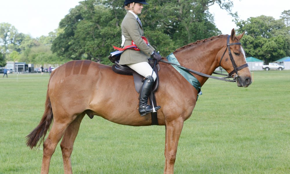 ISH wins top ridden showing title at Riding Clubs Festival ...