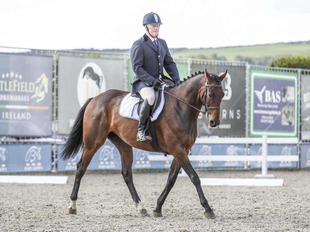 Boystown Kal El (IRE) wins Treo Eile Thoroughbred Award at AIRC ...