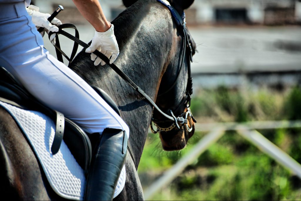 New date for 2021 Hunter Trials Championships - Association of Irish ...