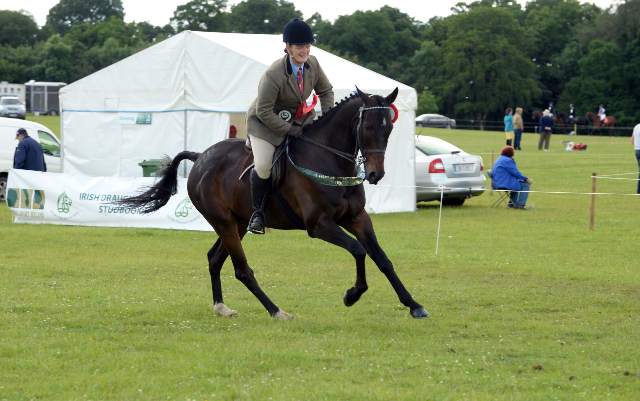 Gentle James claims top ridden showing title at Riding Clubs Festival ...