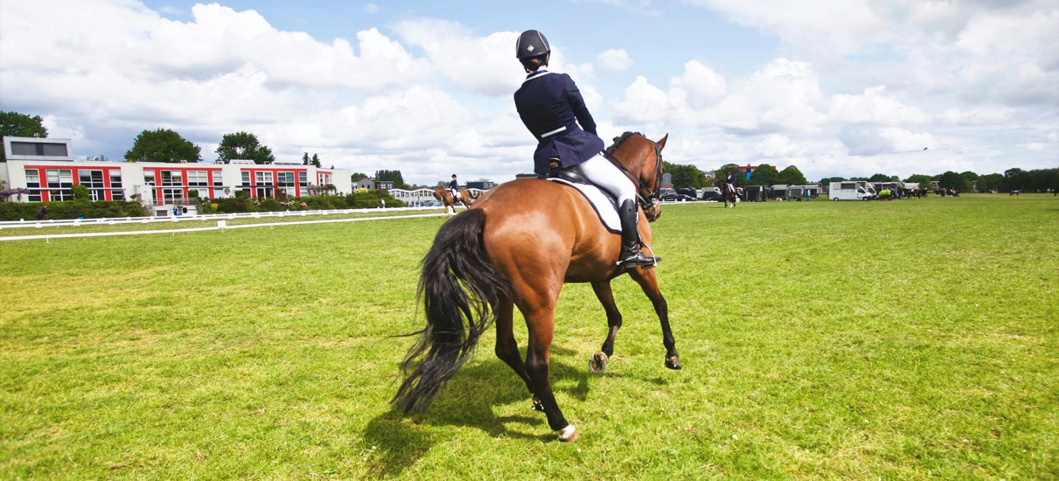 Association of Irish Riding Clubs - Association of Irish Riding Clubs