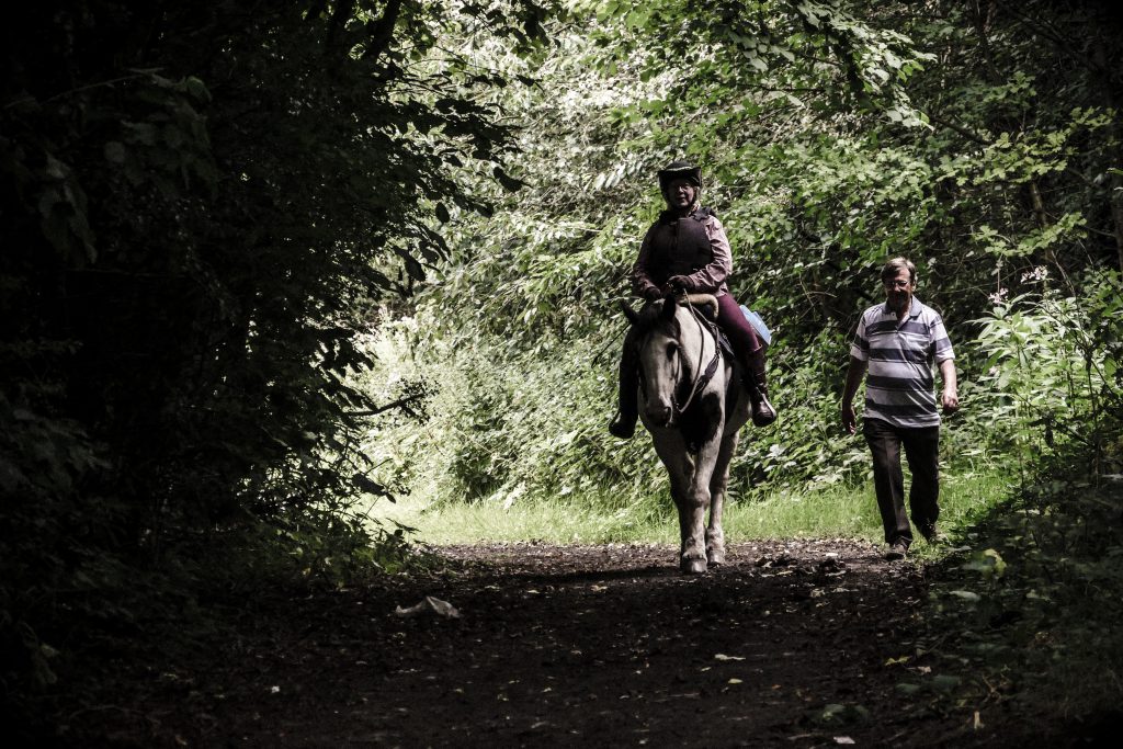 Horse Sport Ireland commissions leisure riding survey with aim of ...