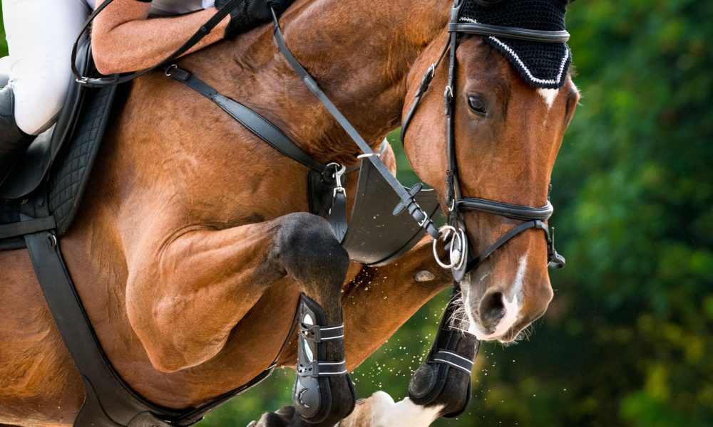 Castle Hill booked in for AIRC Team Jumping final at the RDS ...