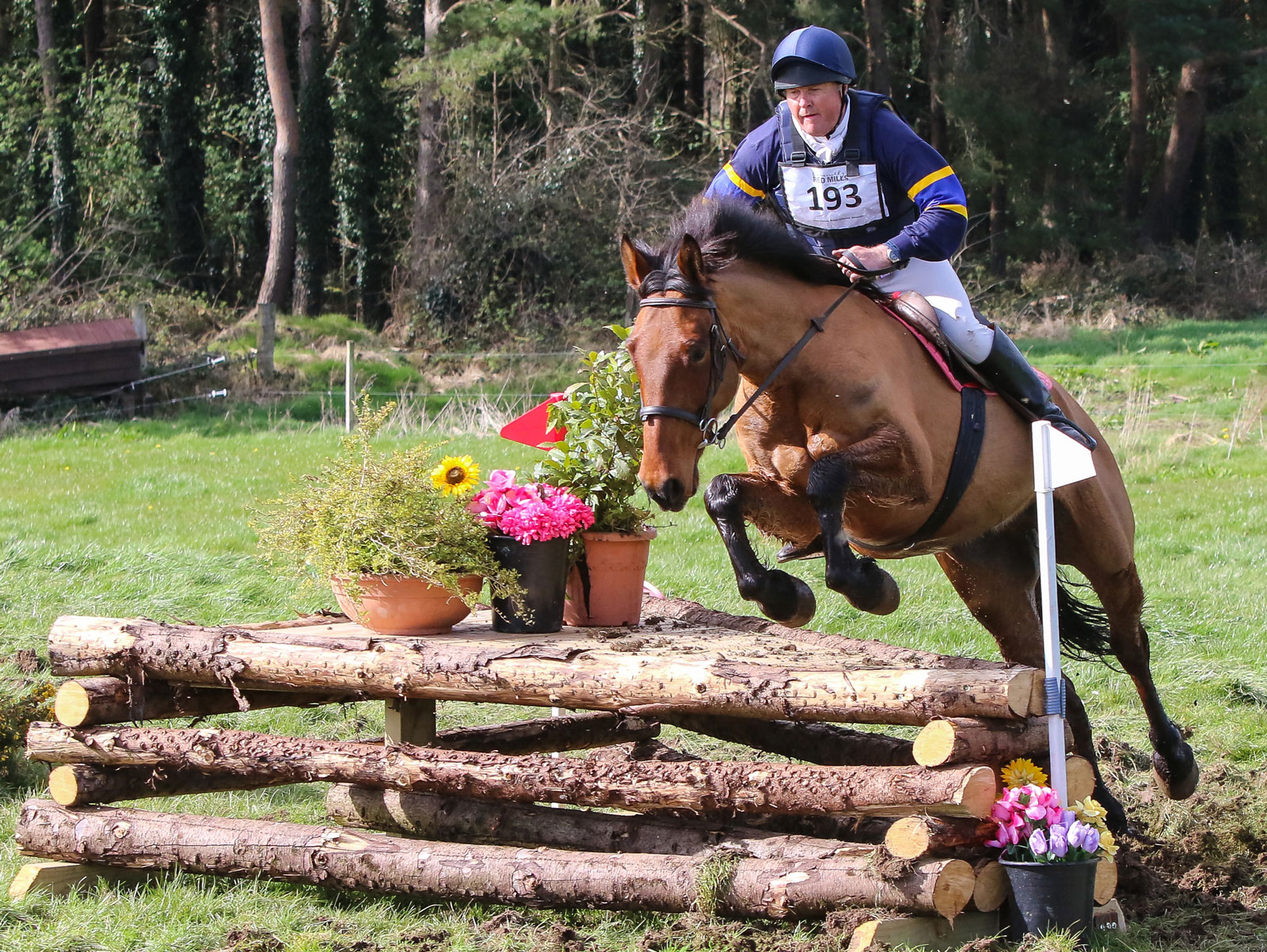 Hunter Trials to return to Galway venue next year - Association of ...