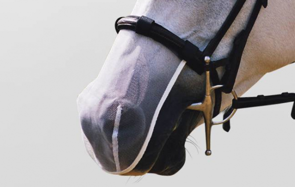 Head shakers allowed to use nose nets once certified - Association of ...